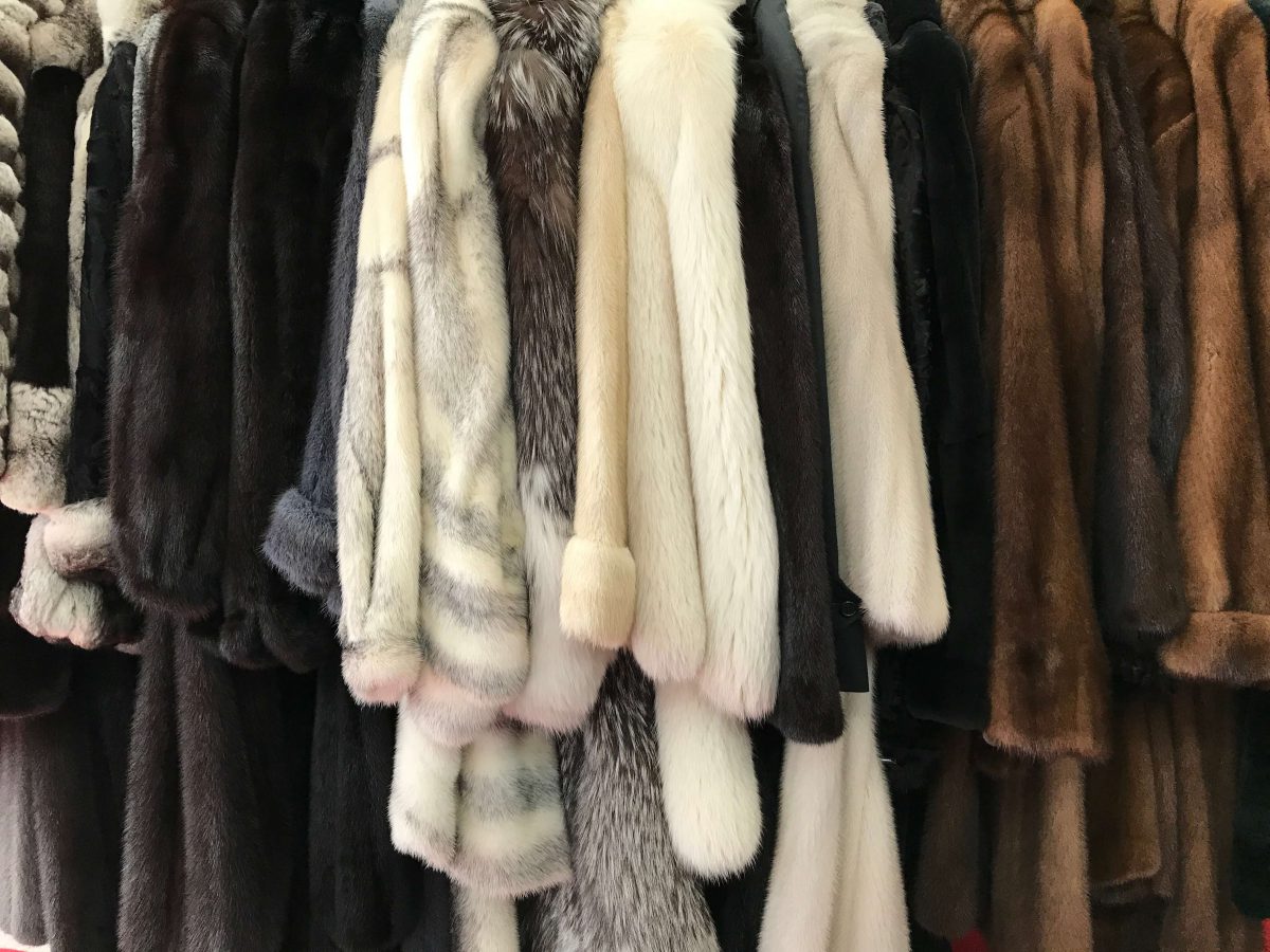 Pelzankauf Berlin - Gebrauchte Pelze zum Höchstpreis verkaufen